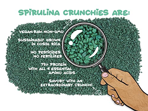 high protein spirulina for athletes