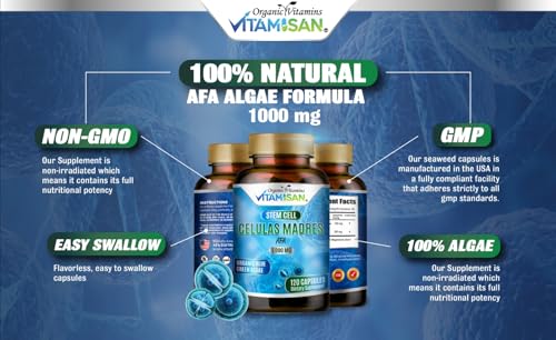 high protein spirulina for energy boost