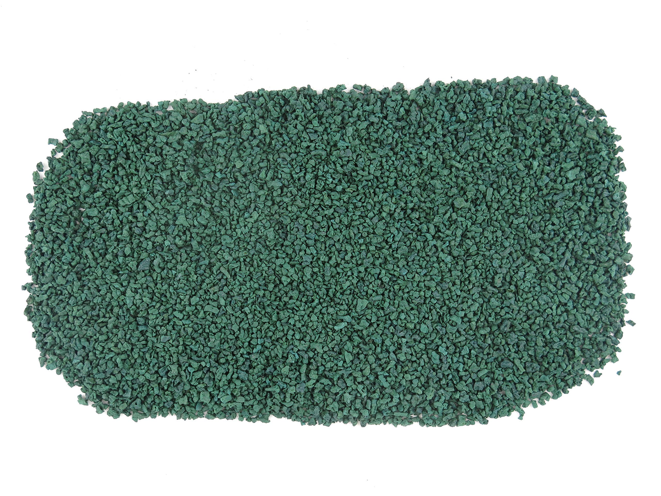 high protein spirulina for fitness