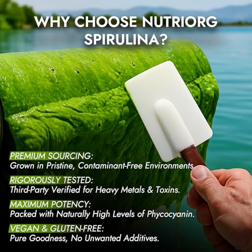 high protein spirulina powder source
