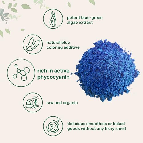 high protein spirulina powder source