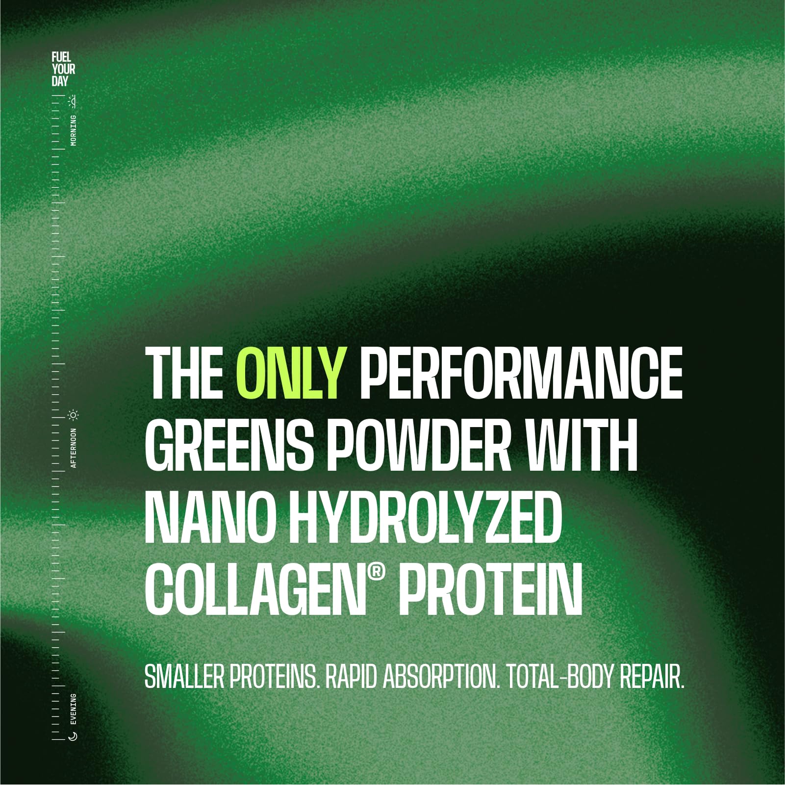 High protein spirulina powder