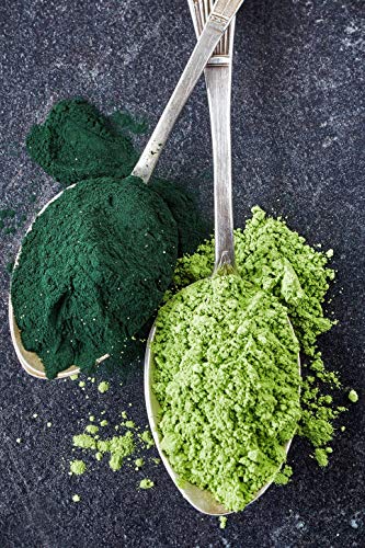 high protein spirulina superfood powder