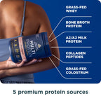 high protein strawberry smoothie ingredient