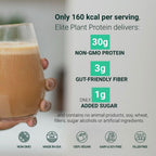 high protein vegan chocolate shake