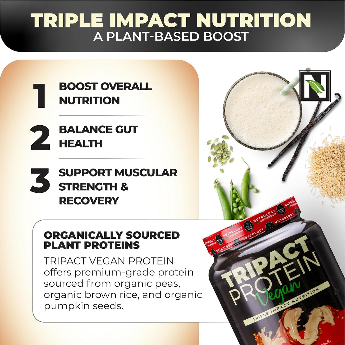 high-protein vegan snack option