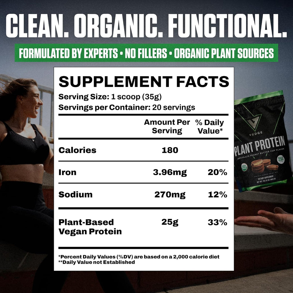 high protein vegan snack option