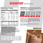 high protein weight gainer for athletes