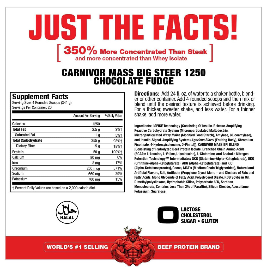 high protein weight gainers chocolate