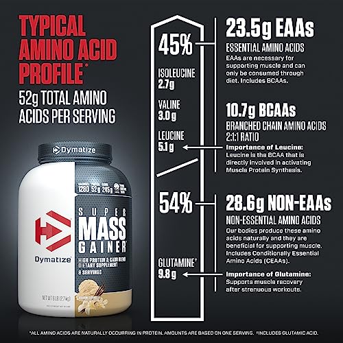 high protein weight gainers option