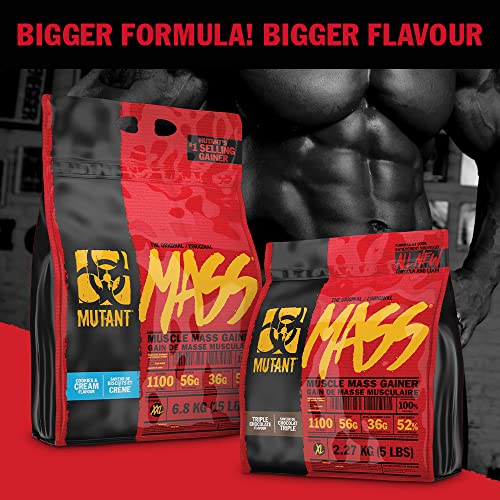 high protein weight gainers supplement