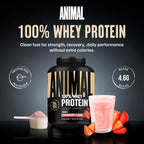 high protein whey powder for athletes