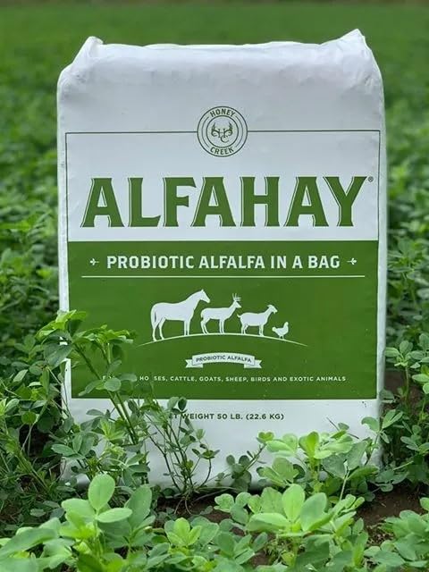 high-quality alfalfa feed for livestock