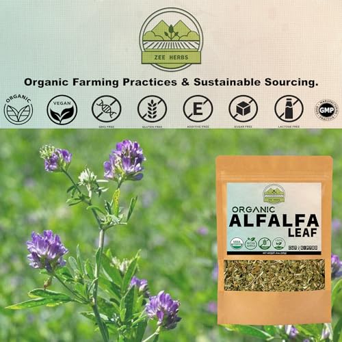 high-quality alfalfa for herbal infusions