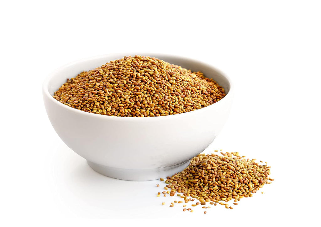 high-quality alfalfa seeds for gardening