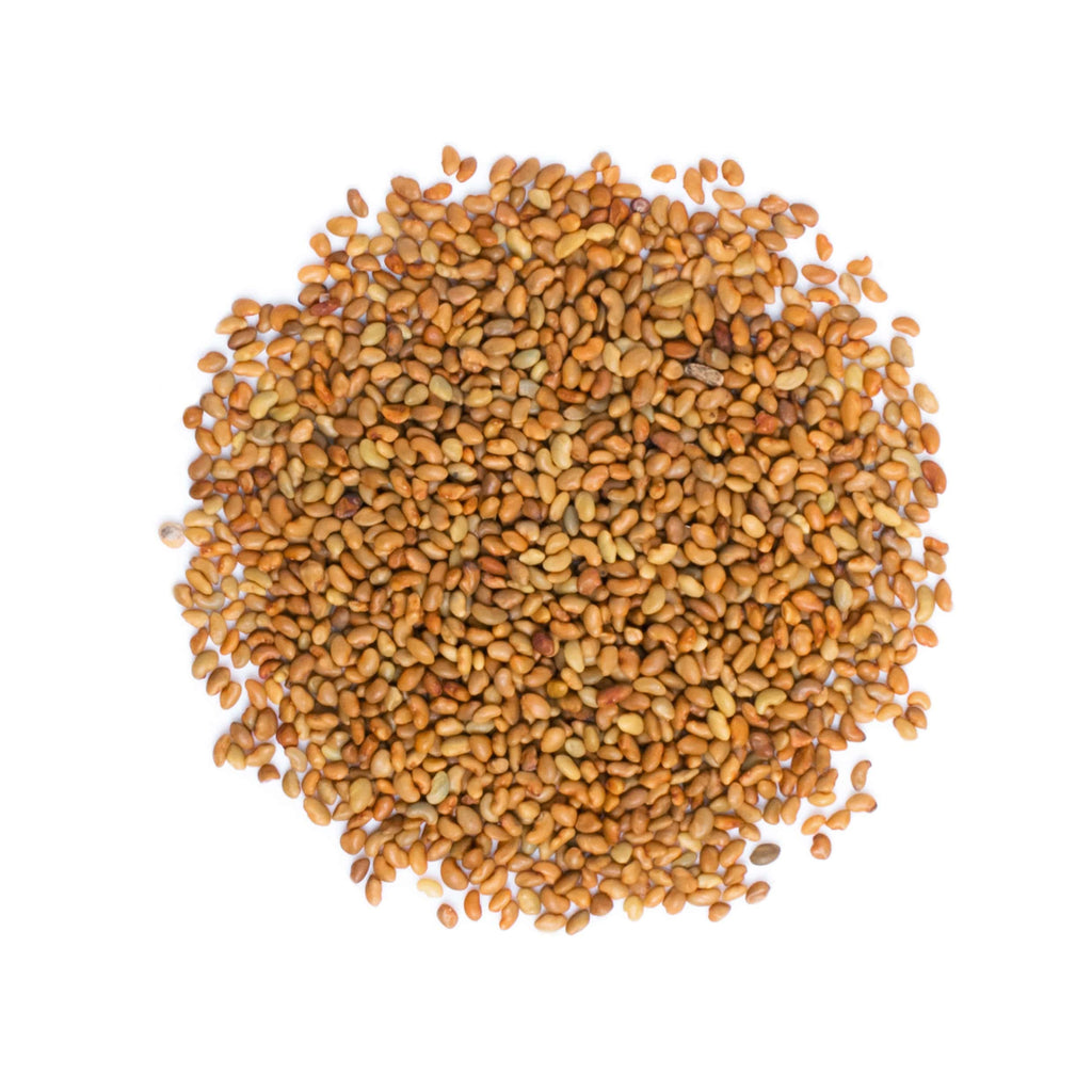 high-quality alfalfa seeds for nutrition