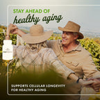 high-quality antioxidant supplement