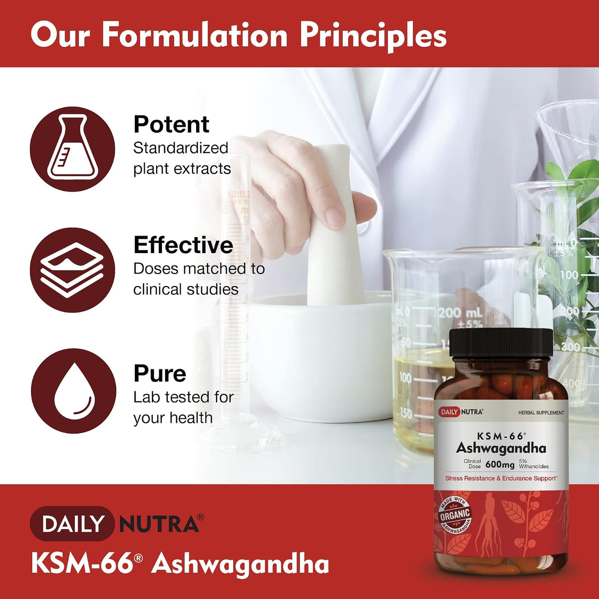 High-quality ashwagandha capsules for daily use