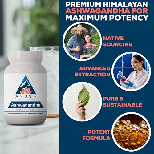 high-quality ashwagandha for daily use