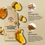High-quality ashwagandha for daily wellness