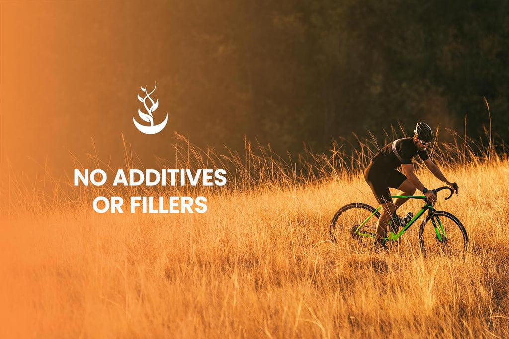 high-quality ashwagandha for energy boost