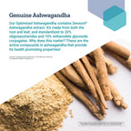 high-quality ashwagandha ksm-66 formula
