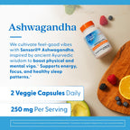 High-quality ashwagandha root extract supplement