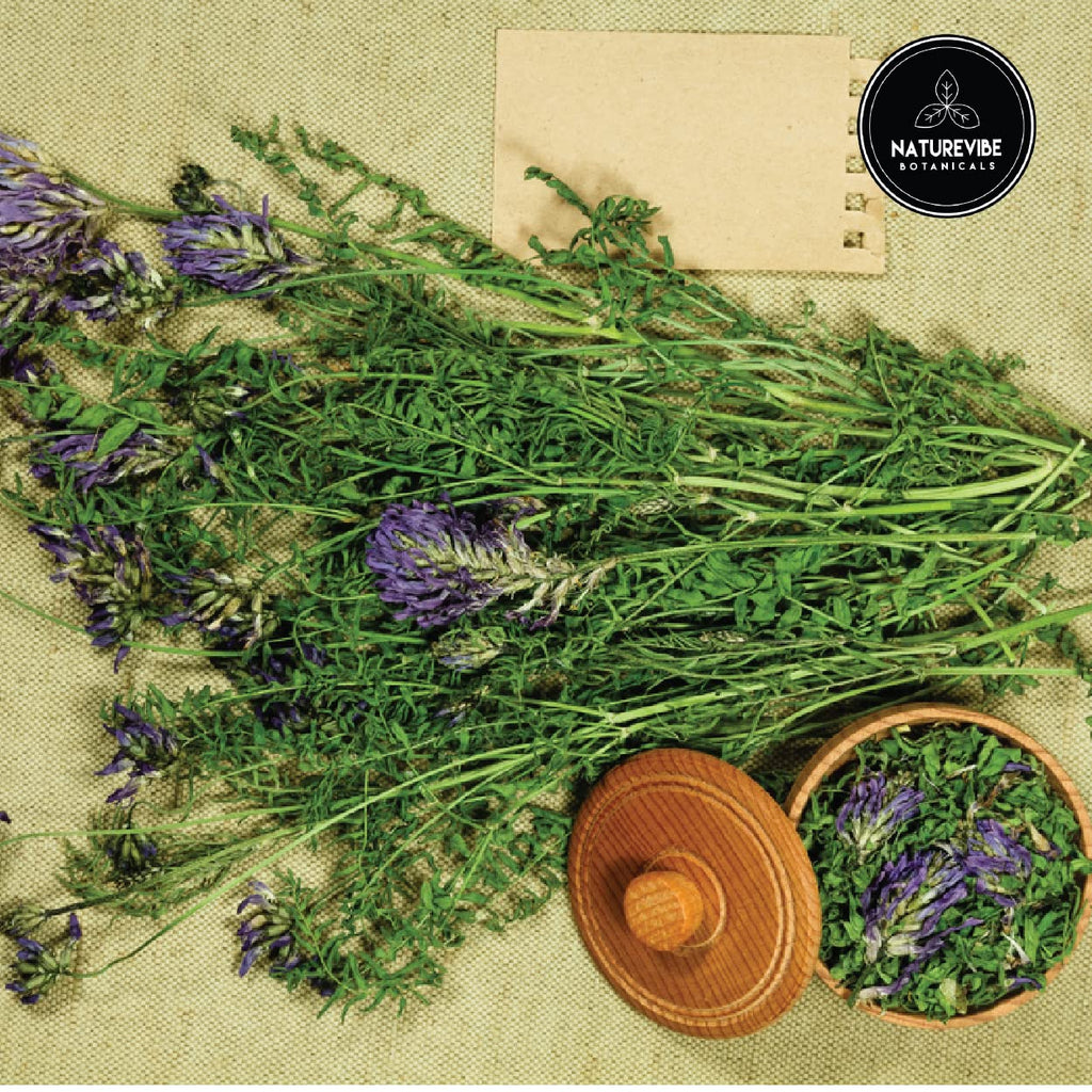 high quality astragalus powder