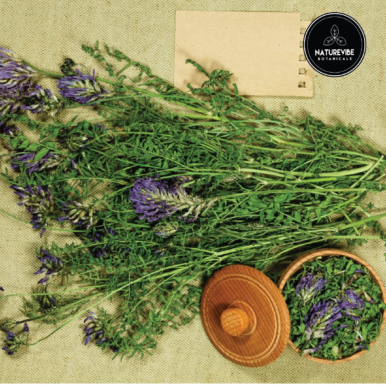 high quality astragalus powder