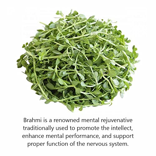 high quality bacopa monnieri capsules
