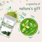 high-quality barley grass powder supplement