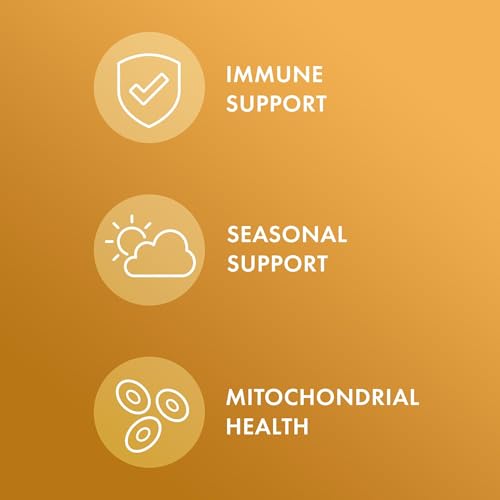 high-quality bee propolis for health