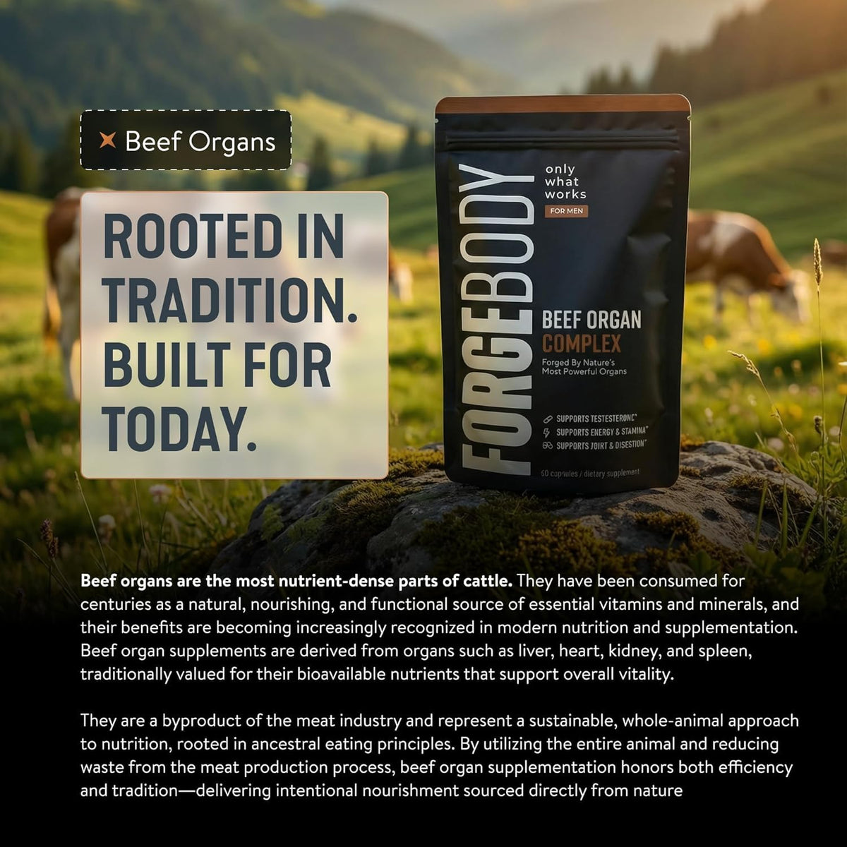 High-quality beef liver extract for fitness