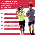high-quality beet root powder benefits