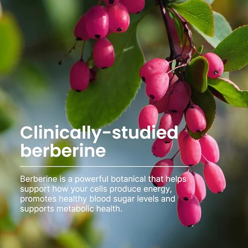 high quality berberine supplements
