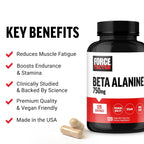 high-quality Beta-Alanine capsules for energy