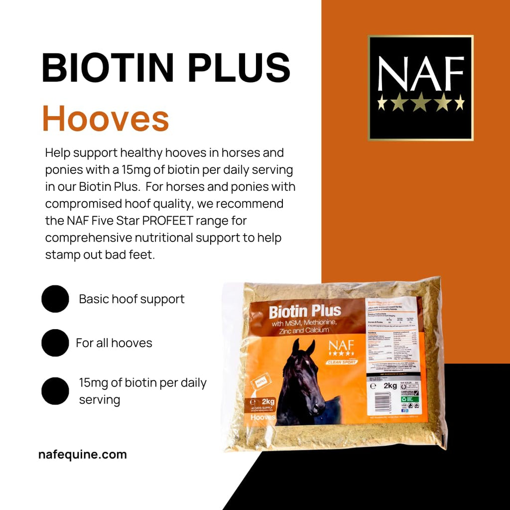 high-quality biotin supplement