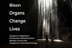 high-quality bison liver capsules