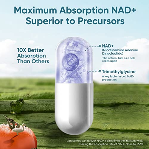 High-quality blended vitamin and mineral formula