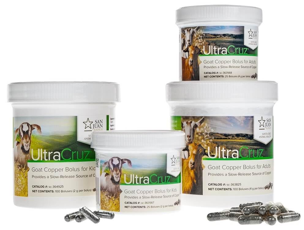 high-quality blended vitamin supplements