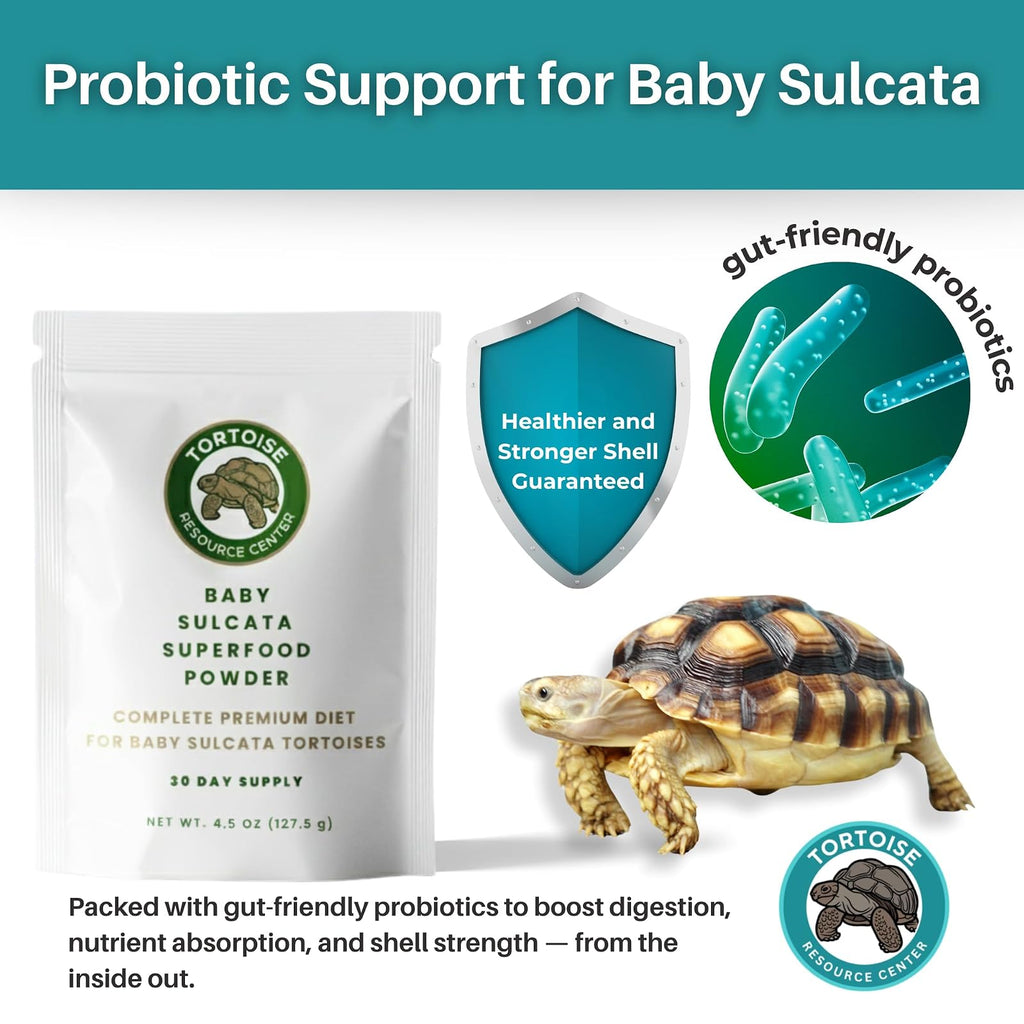 high-quality calcium supplement for reptiles