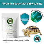 high-quality calcium supplement for reptiles