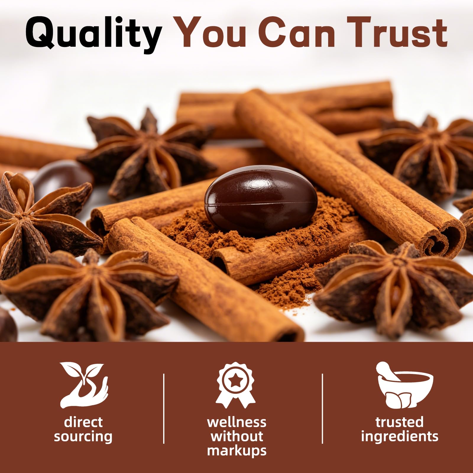 High-quality Ceylon cinnamon 500 mg