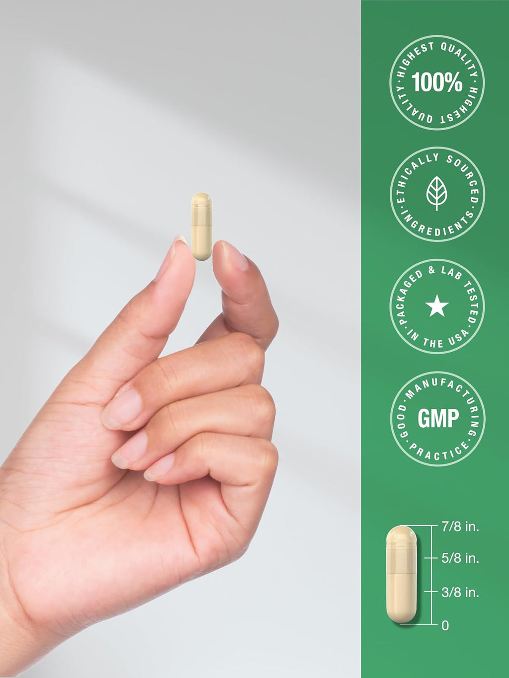 High-quality Ceylon cinnamon capsules
