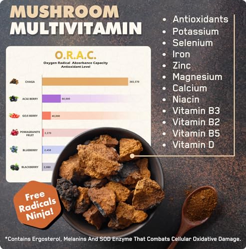 high-quality chaga extract for wellness