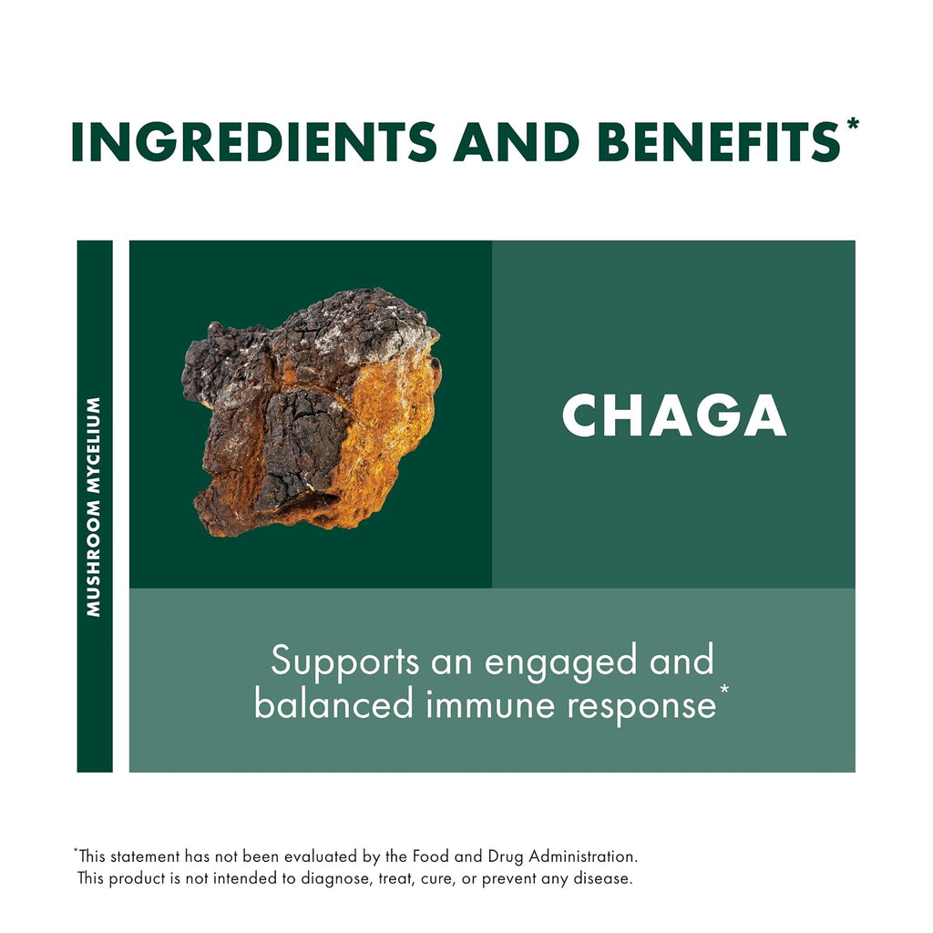 high-quality chaga for daily nutrition