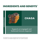 high-quality chaga for daily nutrition