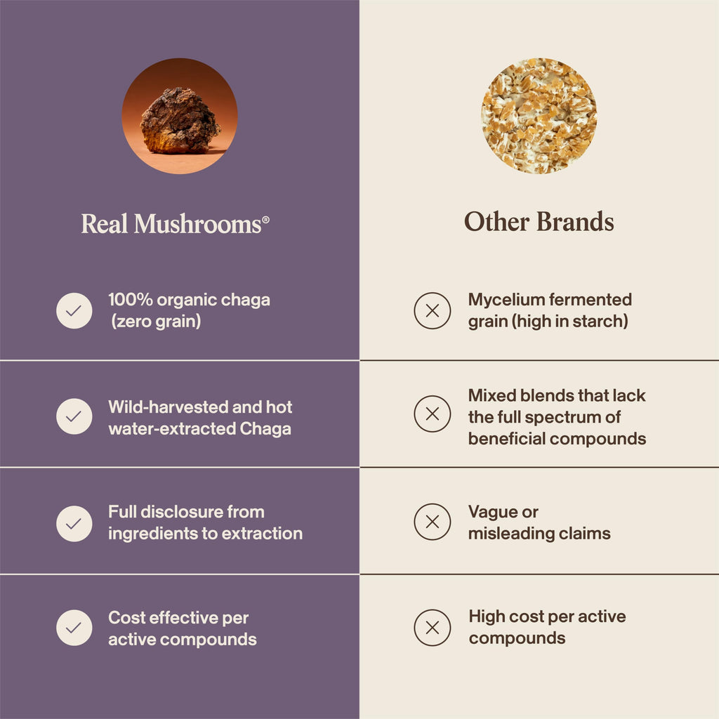 high-quality chaga mushroom extract