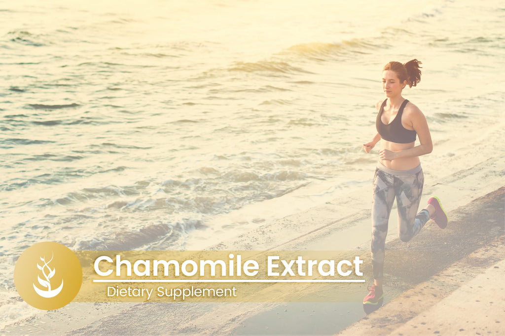 high-quality chamomile herbal supplement