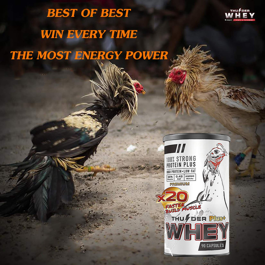 high-quality chicken health supplements